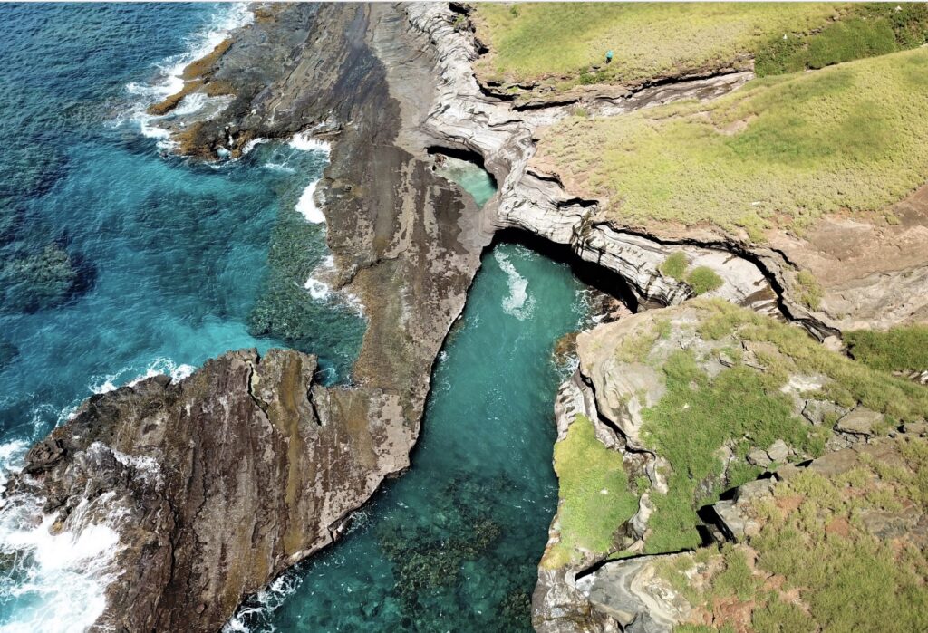 Lehua – An Island Reborn Art Exhibit — Through September 15 | Royal ...